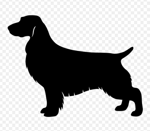 Stickers - Field Spaniel – Crazy Dog Lady