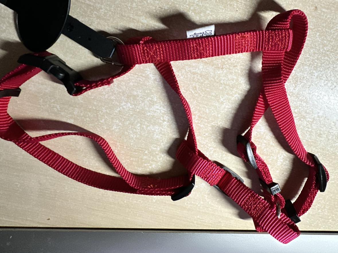 Harness - Plain– Crazy Dog Lady