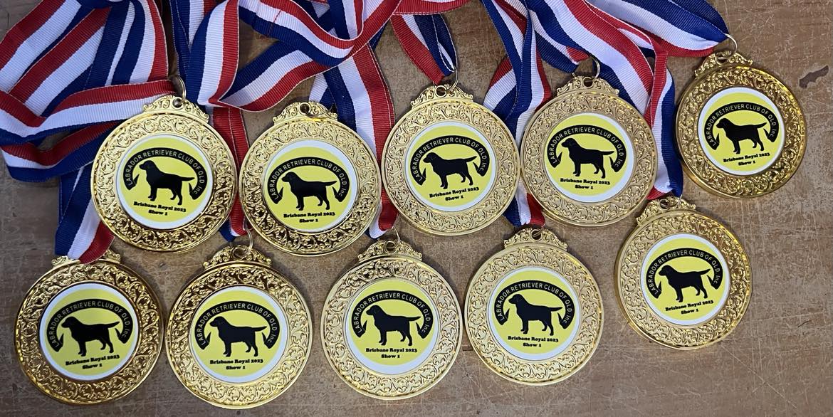 Custom Design - Medallions– Crazy Dog Lady